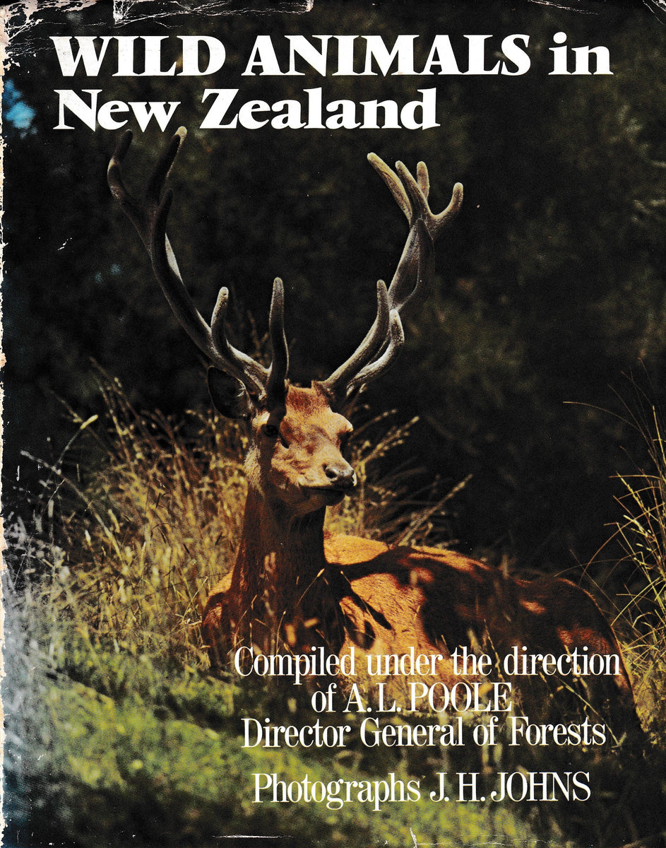 Wild Animals In New Zealand | A.L. Poole & John Johns – NZ Deerstalkers ...